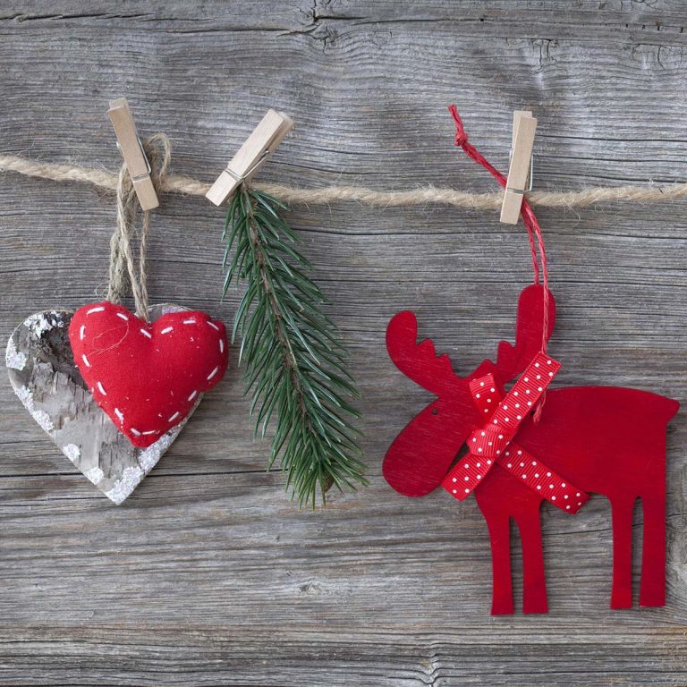 Shanghai-Style Braised Pork Belly - Felly Bull