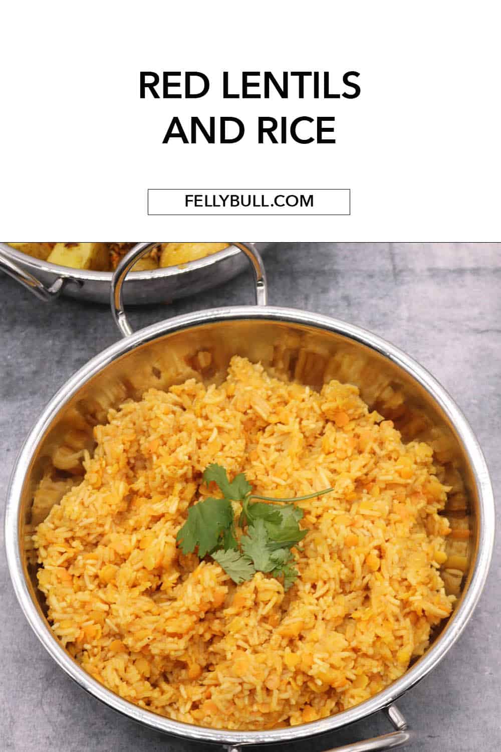 Red Lentils and Rice - Felly Bull