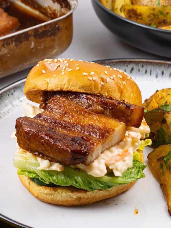 Shanghai-Style Braised Pork Belly - Felly Bull